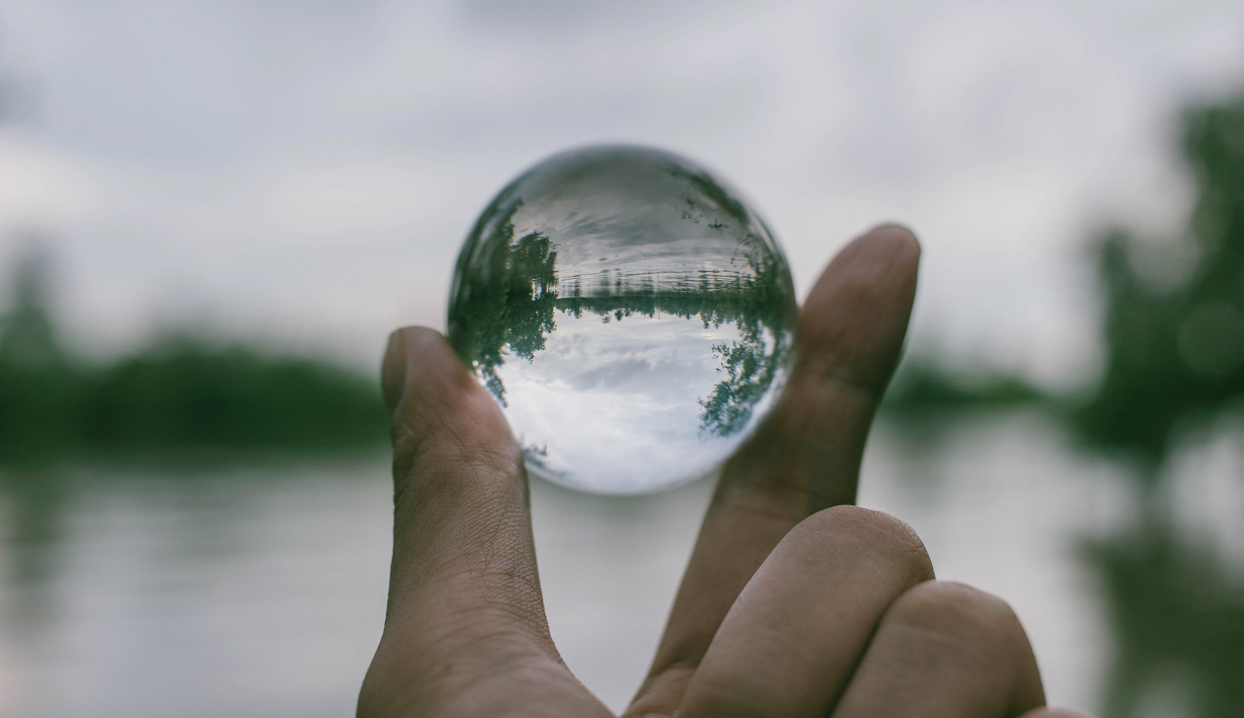 How To Lead Your Company With Transparency Silicon Y all